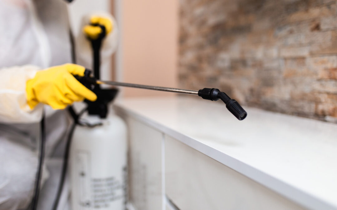 Pest Control Near Me American Pest Control