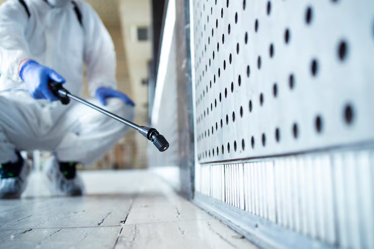 How to Choose a Reliable Pest Control Company: A Complete Guide ...